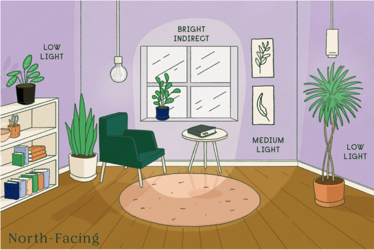 Parlor Palm Care: The Low Light Palm That's Safe for Everyone ...