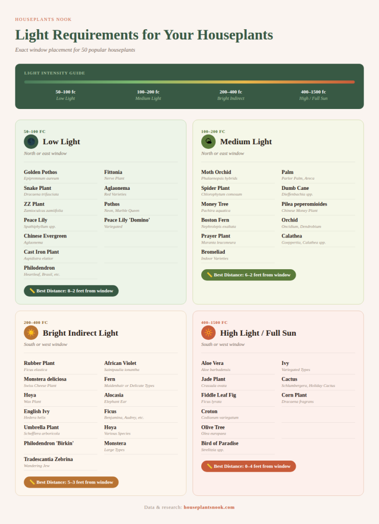 Indoor Plant Light Chart (Lux + Foot-Candles): 50 Houseplants ...
