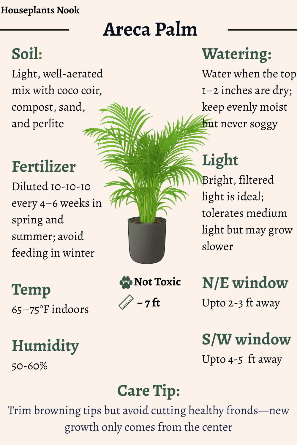 Areca Palm Care: Nature's Best Indoor Humidifier Plant - Houseplants Nook