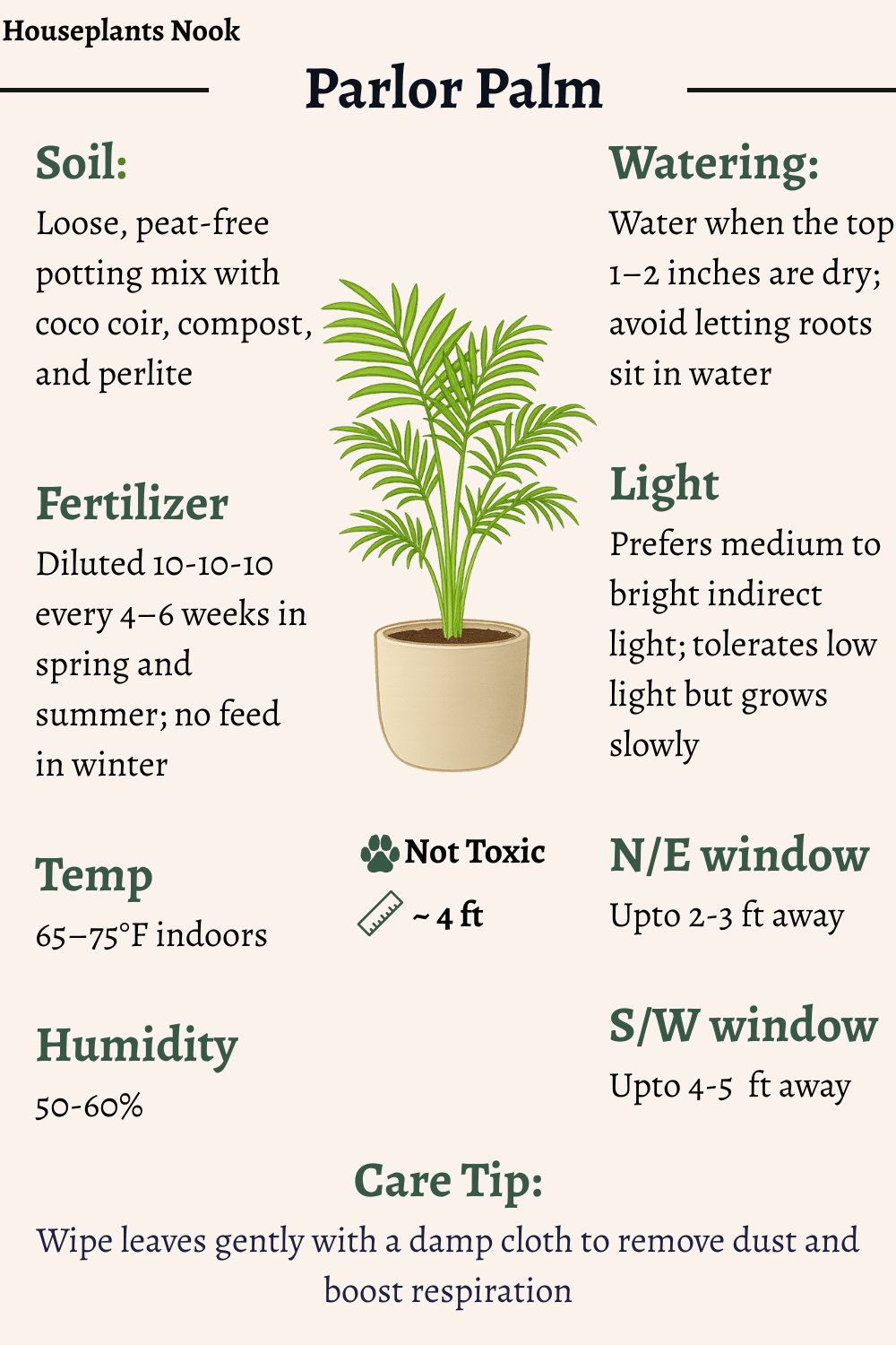 Taking Care Of Palms Indoors