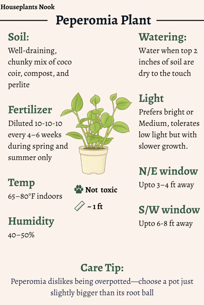 Ultimate Peperomia (Radiator plant) care guide - Houseplants Nook