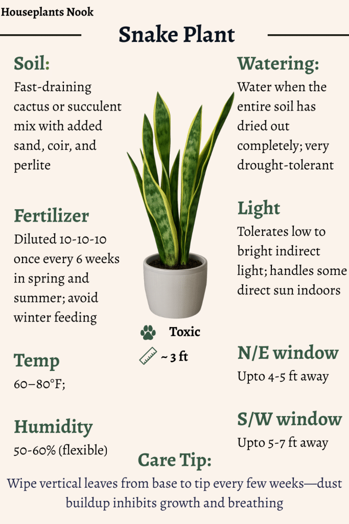 Ultimate Snake plant care guide - Houseplants Nook